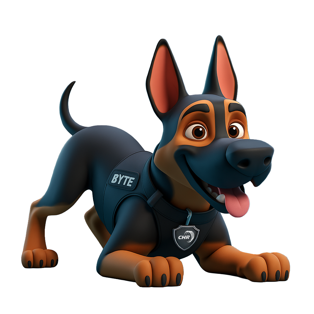 CHR Cybersecurity BYTE - CHR Solutions